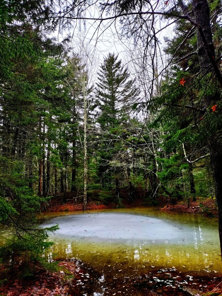 15+ Best Places To Visit In Maine This Fall