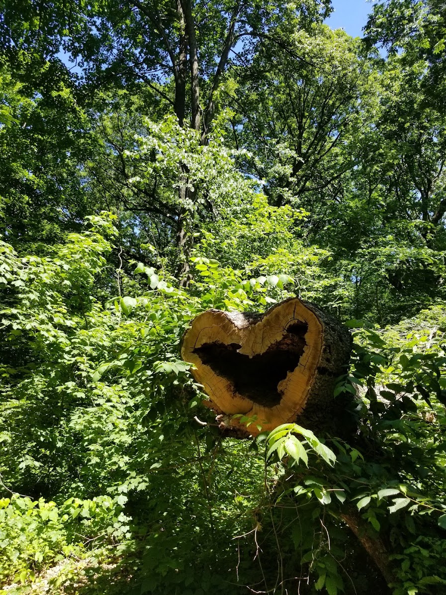 15+ Best Places To Visit In Iowa This Fall