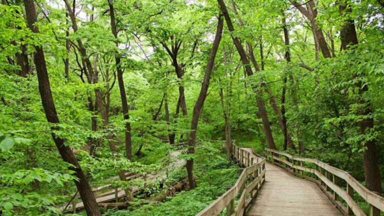 15+ Best Places To Visit In Nebraska This Fall