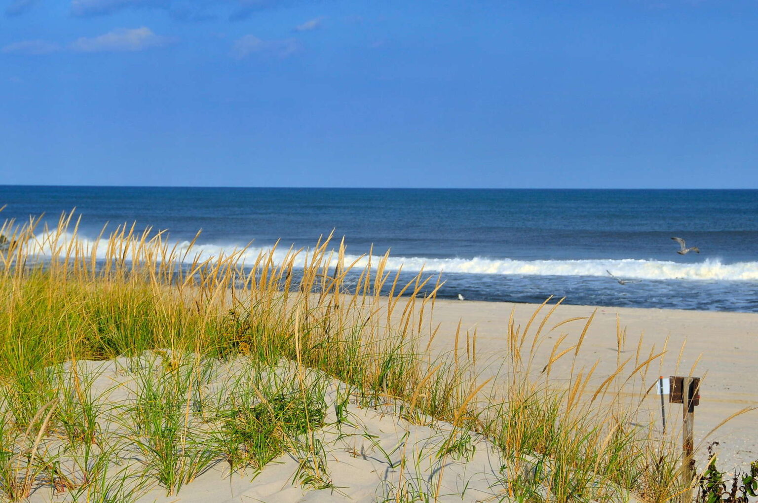 15+ Best Places To Visit In New Jersey This Fall