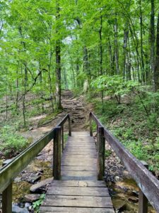 15+ Best Places To Visit In Alabama This Fall