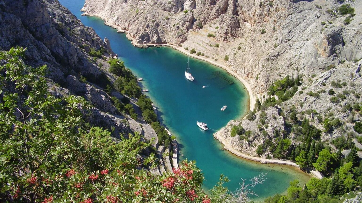 15+ Best Places to Visit in Zadar