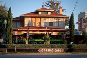 15+ Best Restaurants to Visit in Dallas