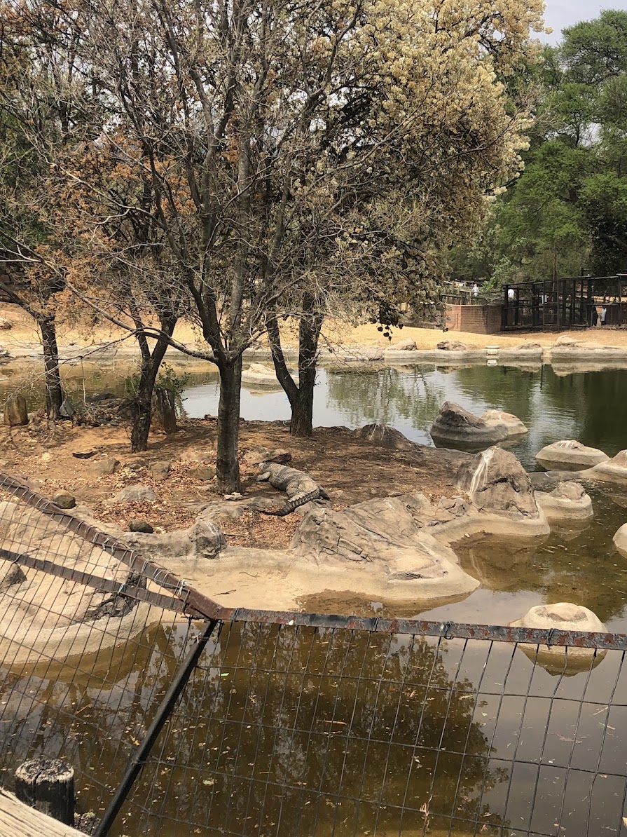 10 Best Places to Visit in Johannesburg, South Africa