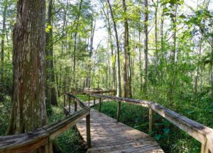 15+ Best Places To Visit In Louisiana This Winter