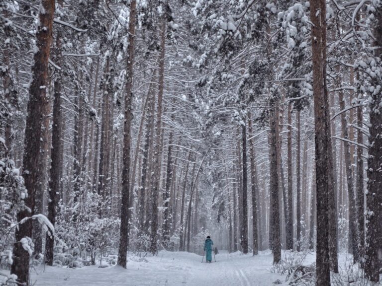 15+ Best Places To Visit In Montana This Winter