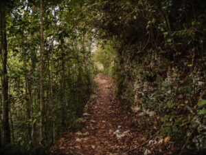 15+ Best Places To Visit In Puerto Rico This Winter