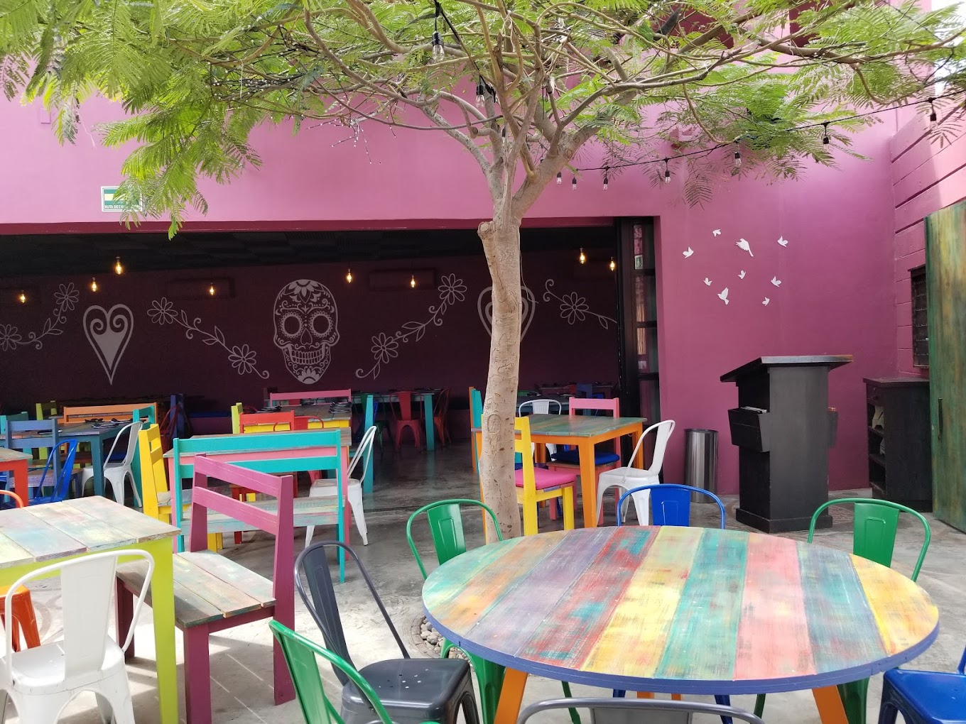 10+ Best Restaurants To Visit In Cabo San Lucas