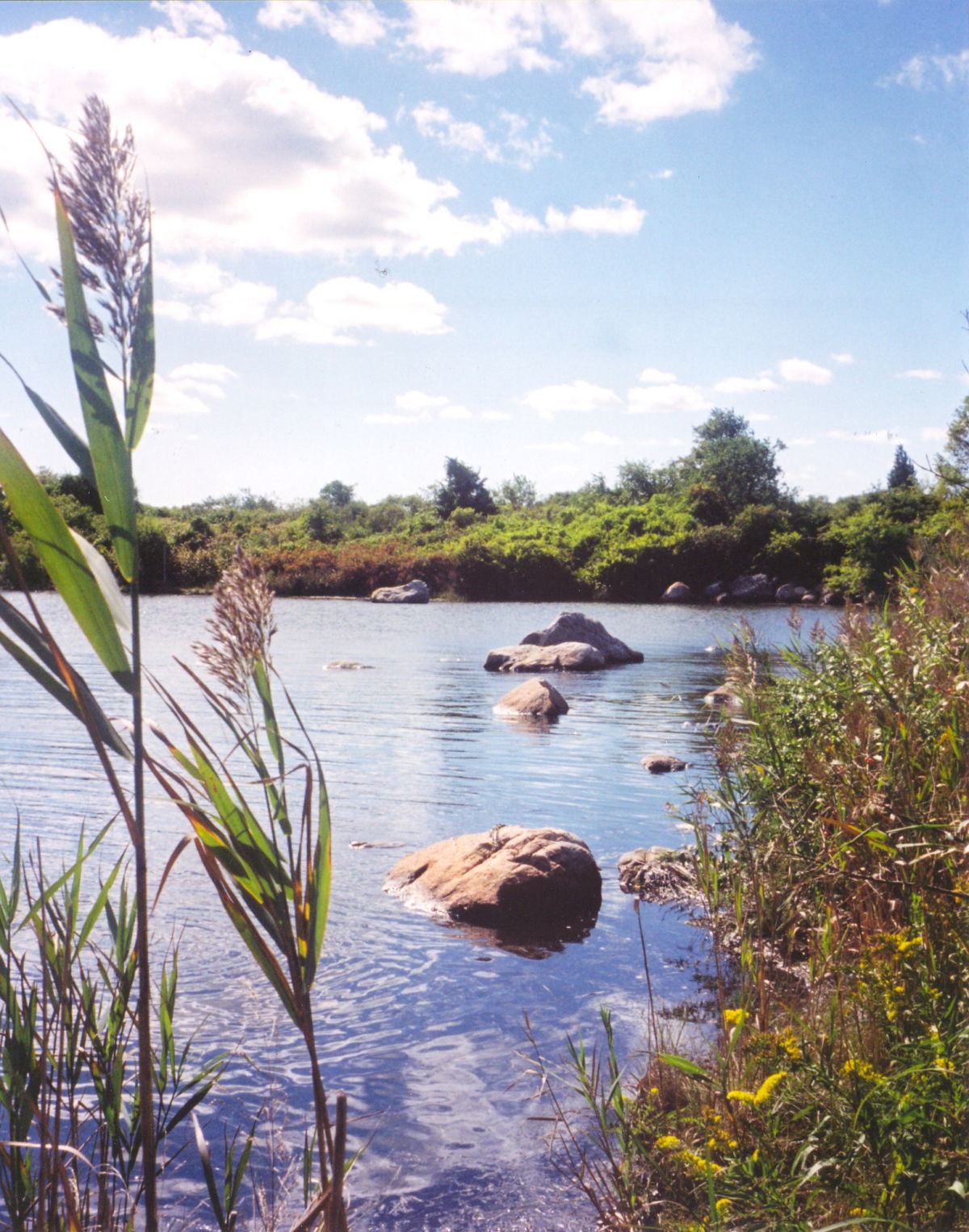 15+ Best Places to Visit in Rhode Island This Spring