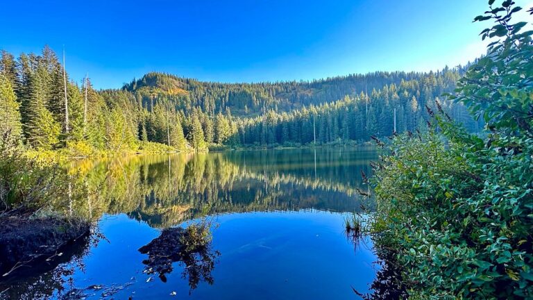 15+ Best Places to Visit in Oregon This Spring