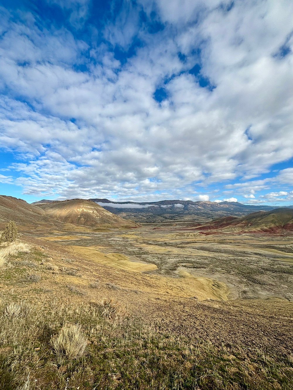 15+ Best Places to Visit in Oregon This Spring