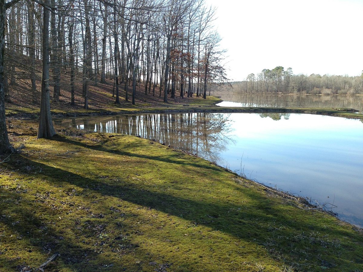 15+ Best Places to Visit in Mississippi This Spring