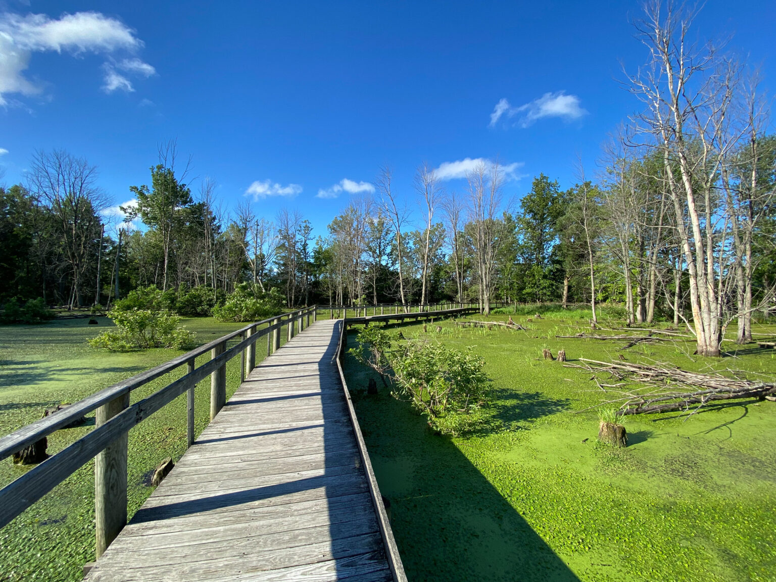 15+ Best Places to Visit in Ohio This Spring