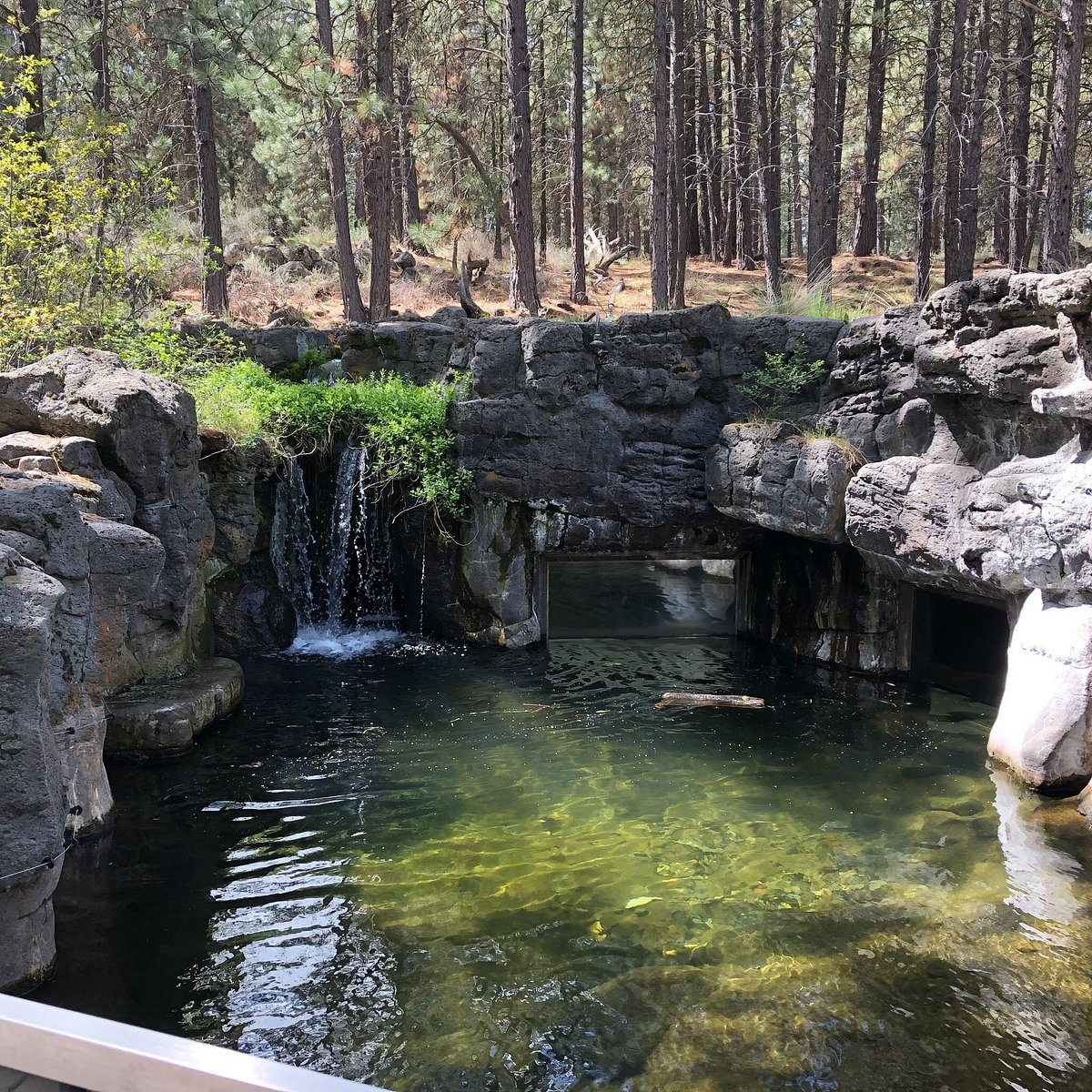 15+ Best Places to Visit in Oregon This Spring