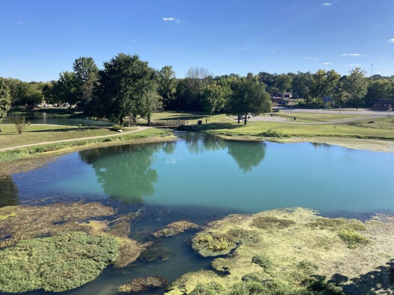 15+ Best Places to Visit in Arkansas This Spring