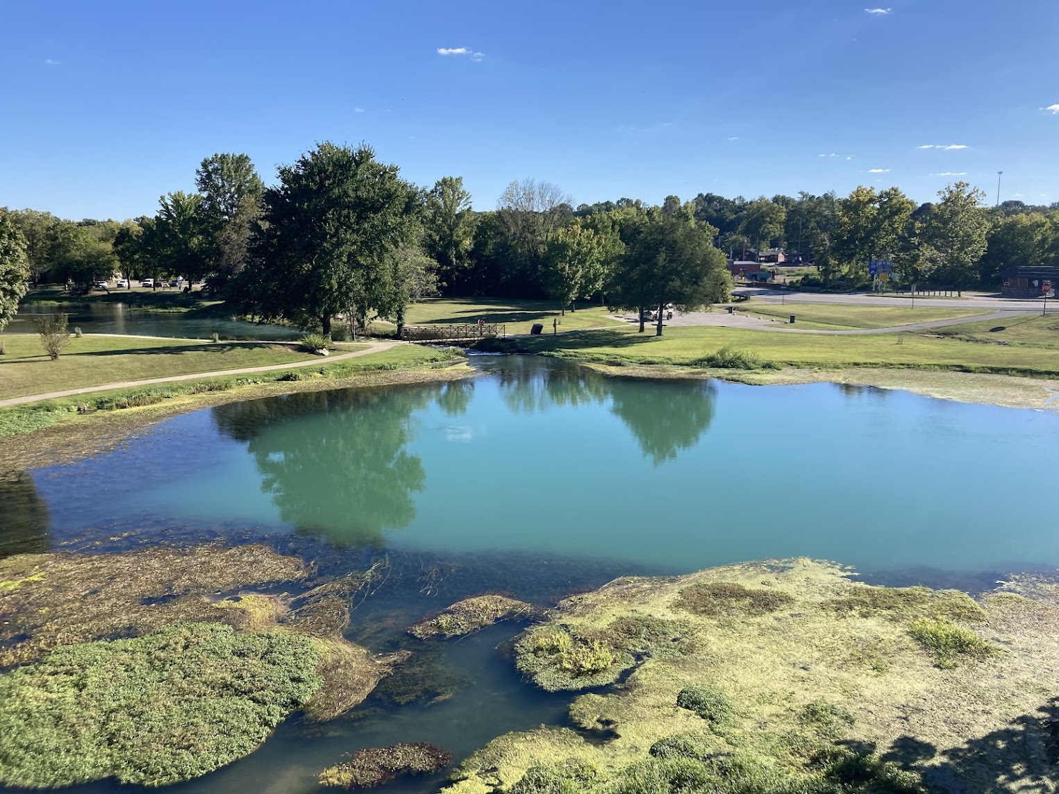 15+ Best Places to Visit in Arkansas This Spring