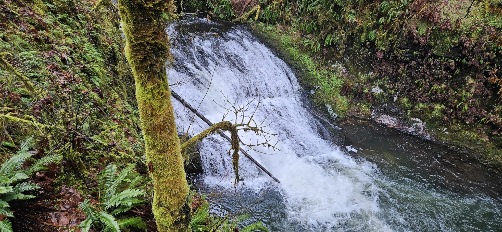 15+ Best Places to Visit in Oregon This Spring