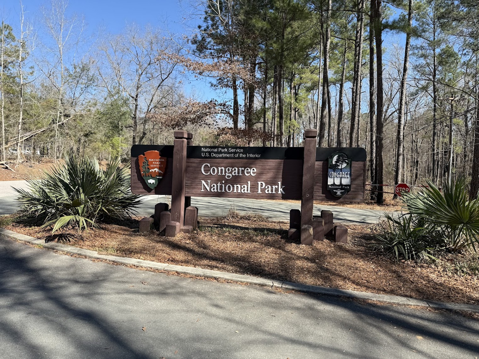 15+ Best Places to Visit in South Carolina This Spring
