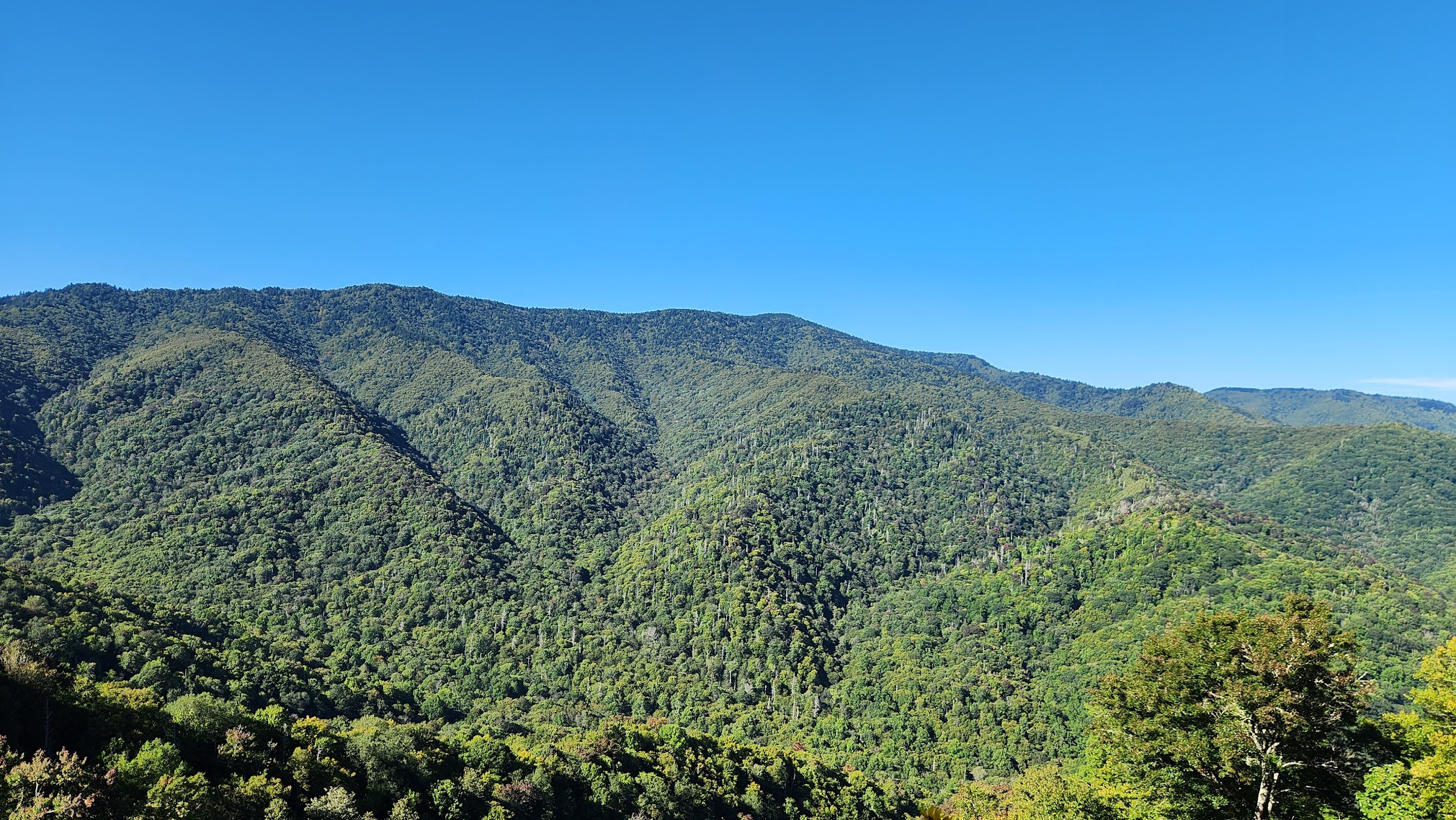 15+ Best Places to Visit in Tennessee This Spring