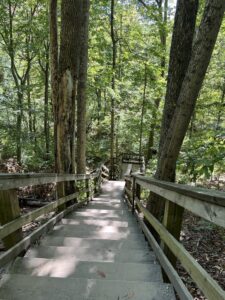 15+ Best Places to Visit in Indiana This Spring