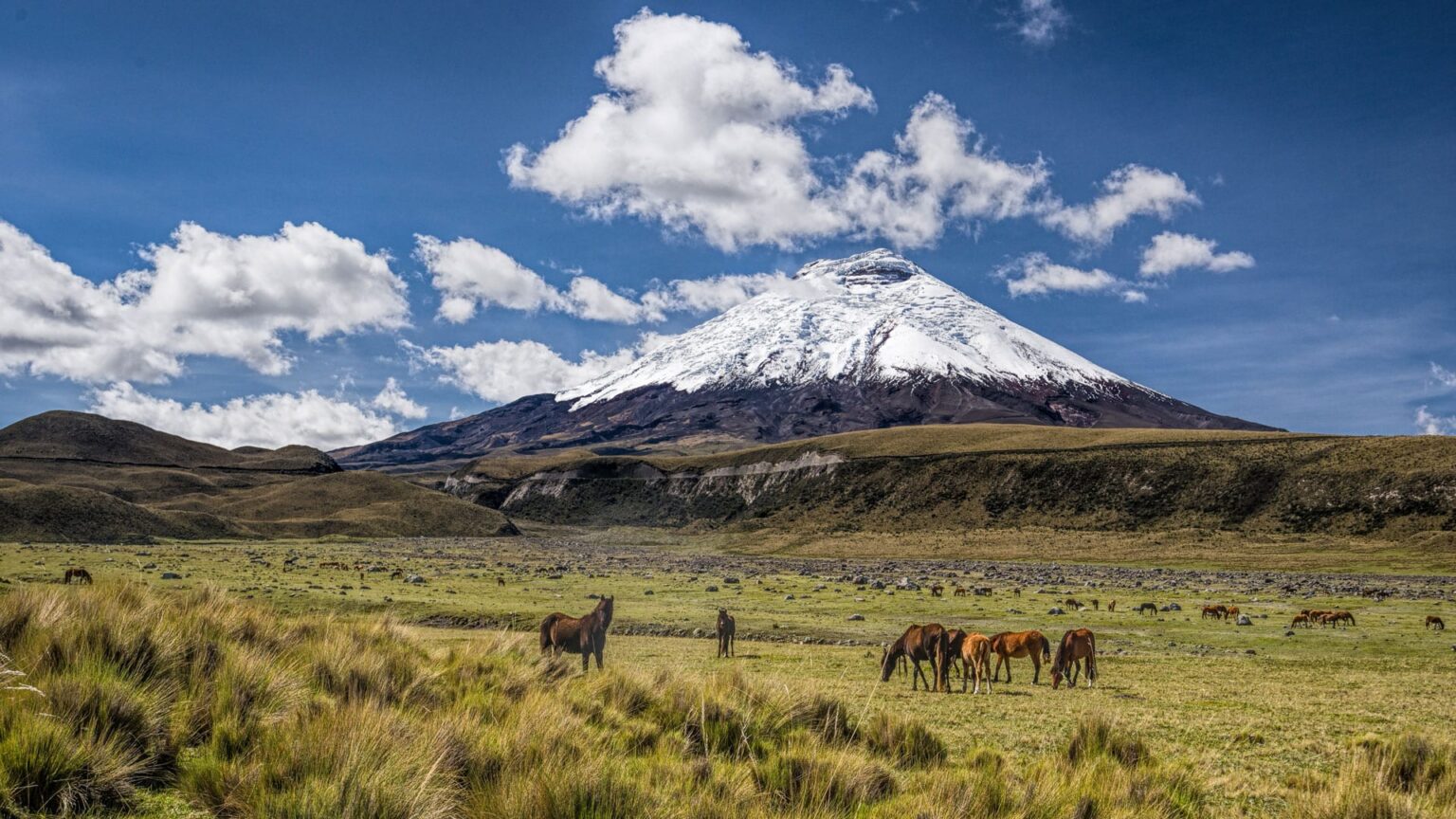 15+ Best Places to Visit in Ecuador This Spring