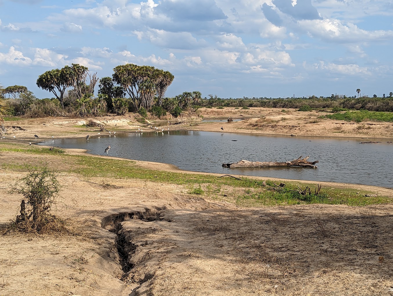 15+ Best Places to Visit in Tanzania This Spring