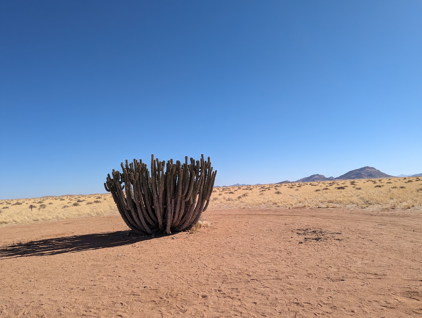 15+ Best Places to Visit in Namibia This Spring