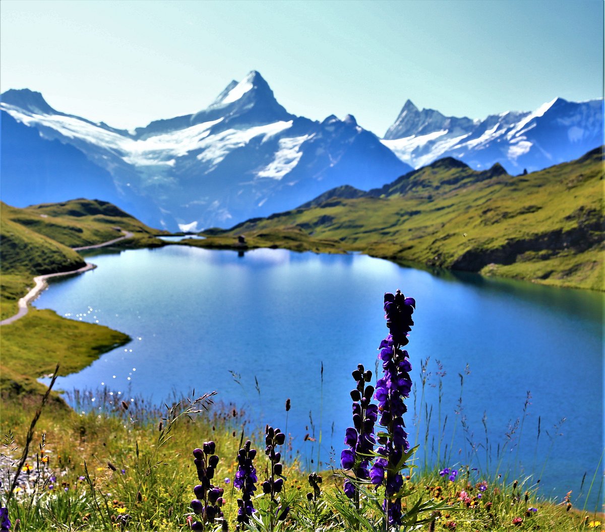 15+ Best Places to Visit in Switzerland This Spring
