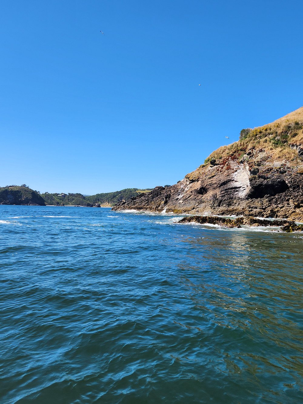 15+ Best Places to Visit in Chile This Spring