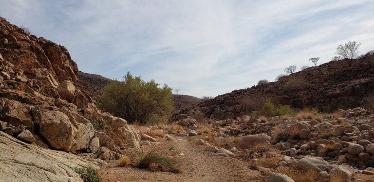 15+ Best Places to Visit in Namibia This Spring