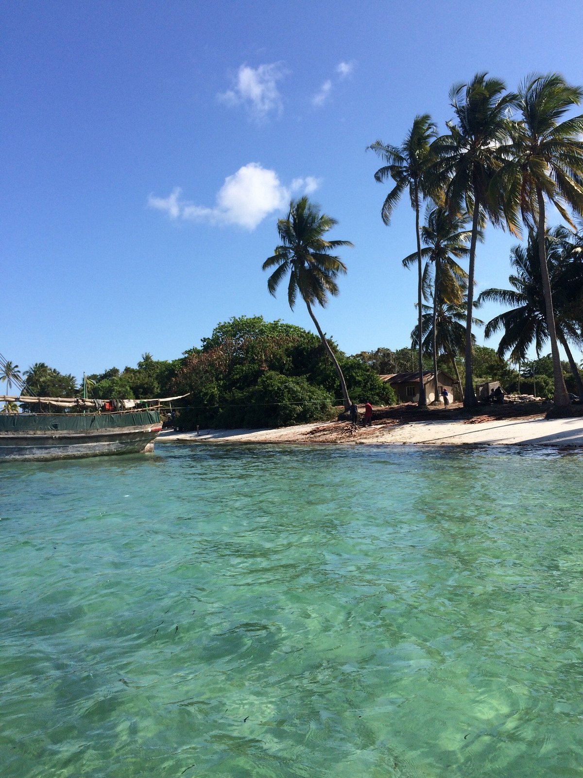 15+ Best Places to Visit in Tanzania This Spring