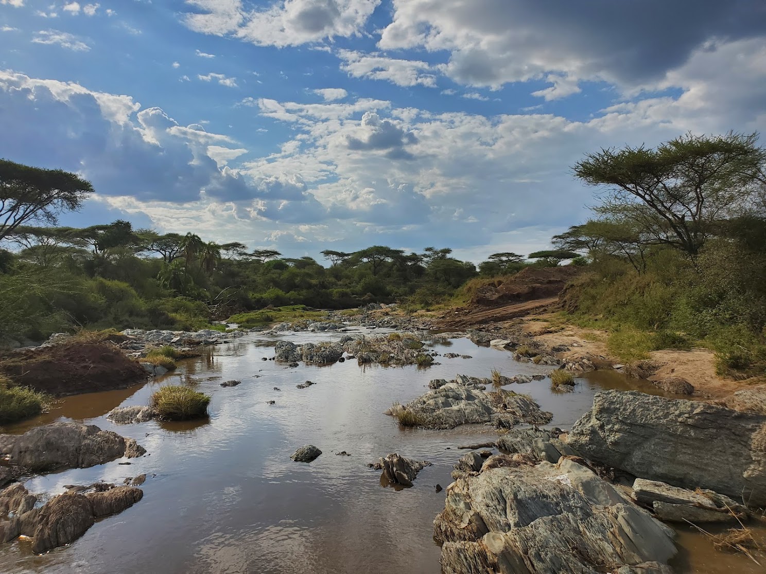 15+ Best Places to Visit in Tanzania This Spring