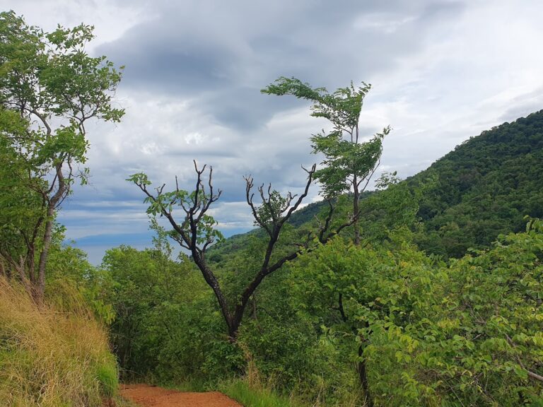 15+ Best Places to Visit in Tanzania This Spring