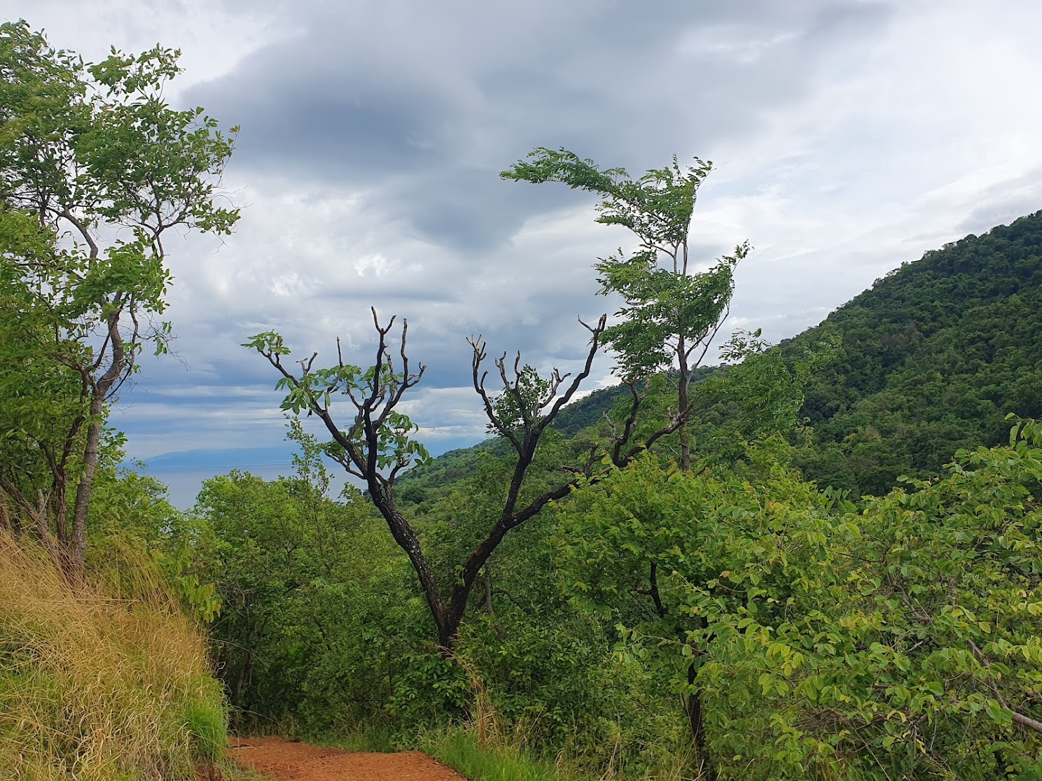 15+ Best Places to Visit in Tanzania This Spring