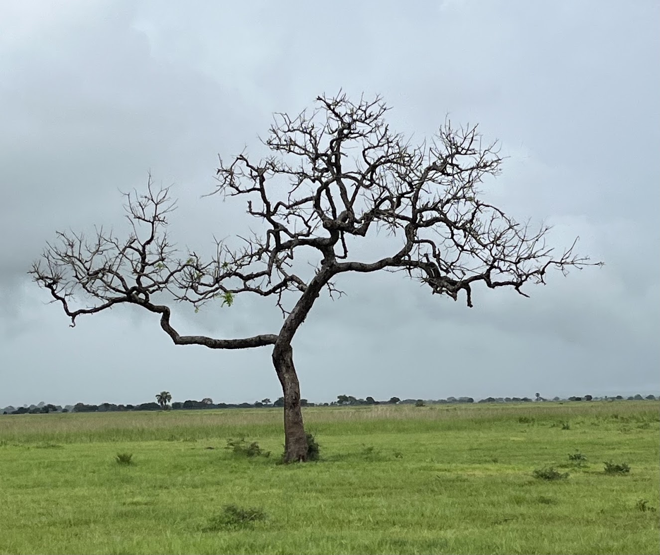 15+ Best Places to Visit in Tanzania This Spring