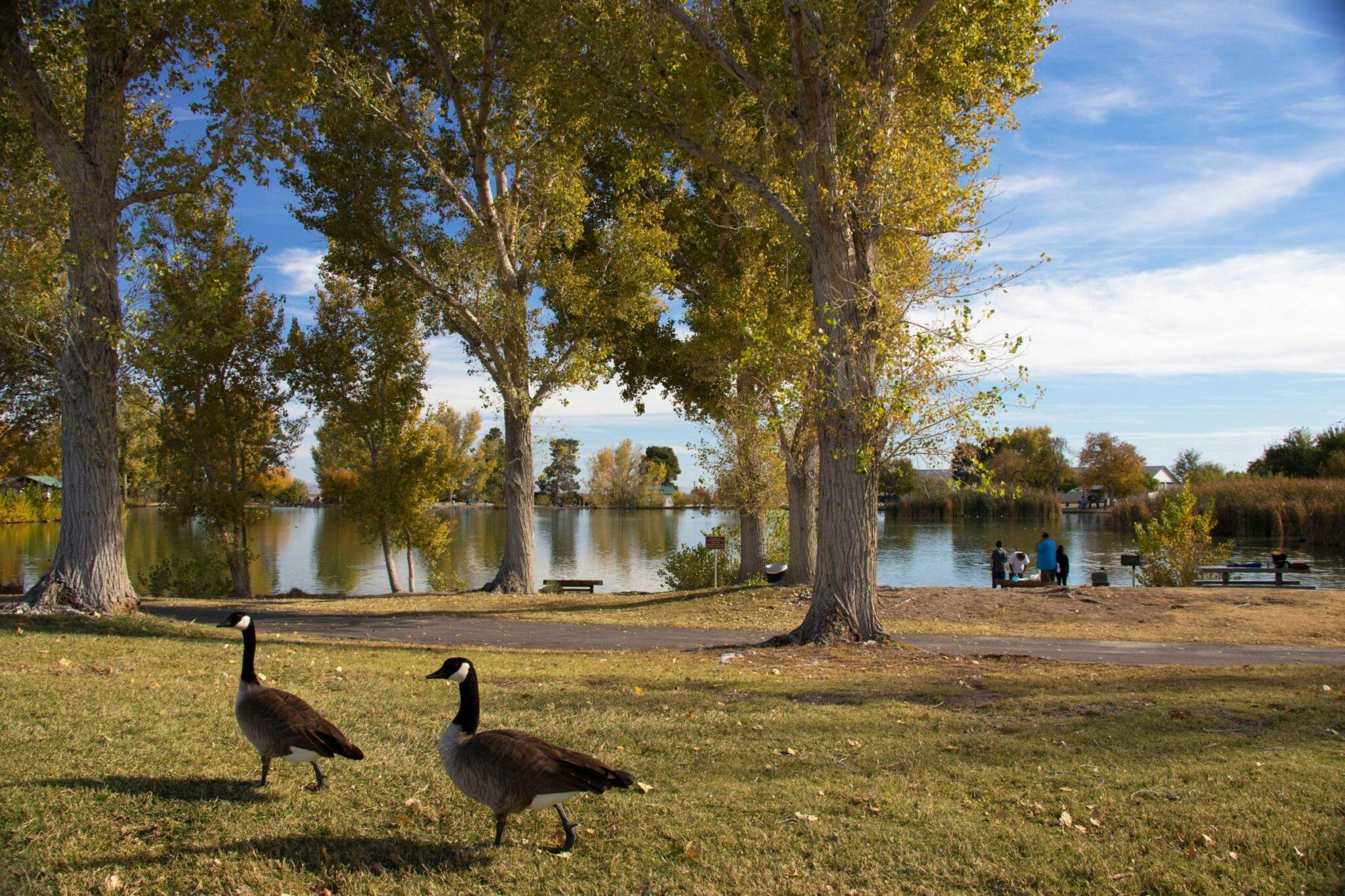 12 Best Things To Do In Enterprise, Nevada – Hidden Gems Near Las Vegas