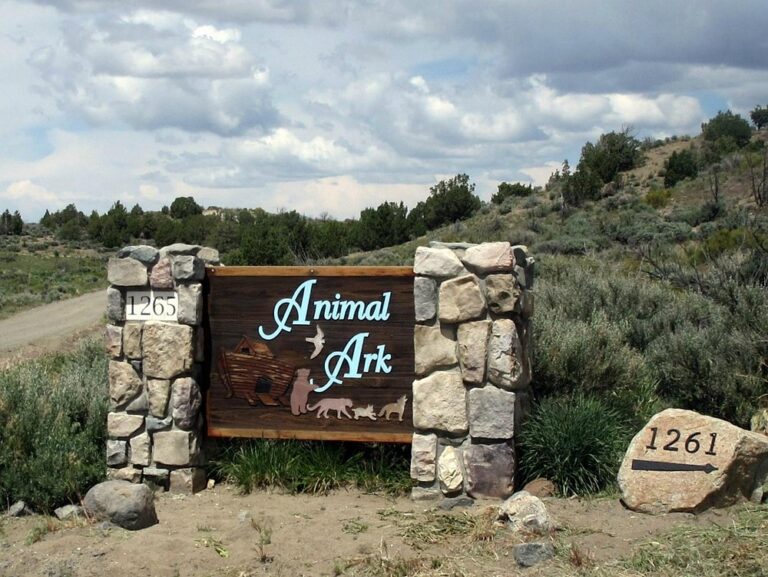 12 Best Things To Do in Reno, Nevada – The Ultimate Adventure Guide