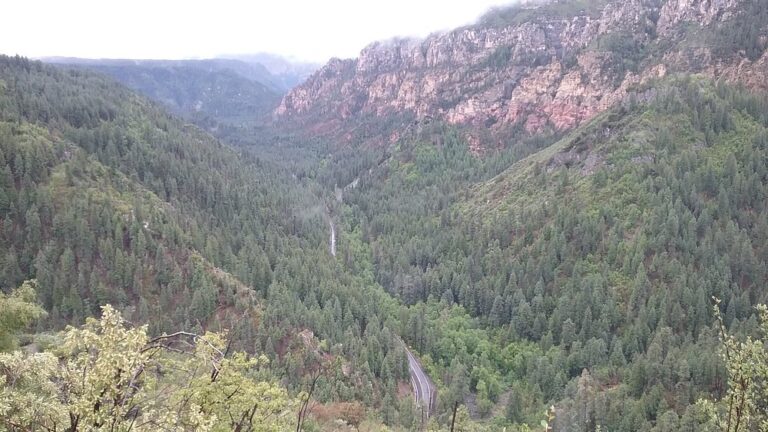 12 Best Things To Do In Glendale, Arizona: Your Ultimate Bucket List