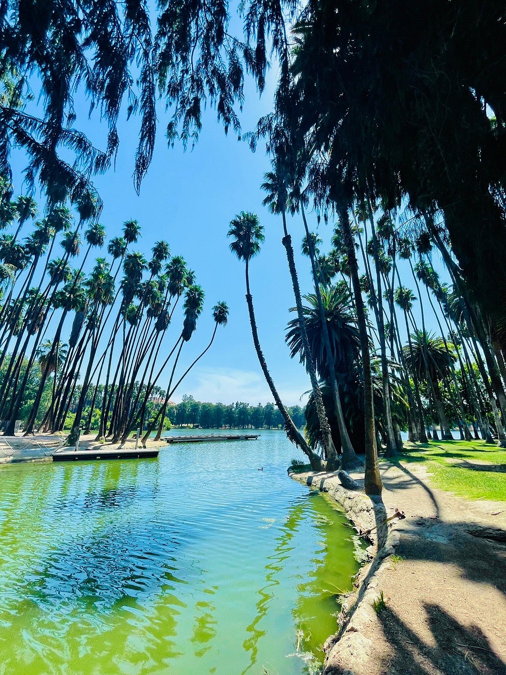 12 Best Things To Do In Riverside, California