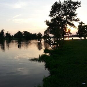 12 Best Things To Do In Lexington, Kentucky