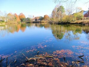 12 Best Things To Do In Chesapeake, Virginia: Your Ultimate Bucket List