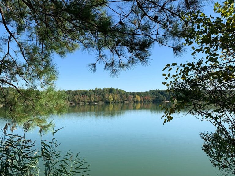 12 Best Things To Do In Chesapeake, Virginia: Your Ultimate Bucket List