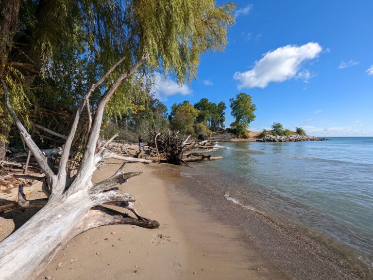 15+ Best Places to Visit in Illinois This Summer