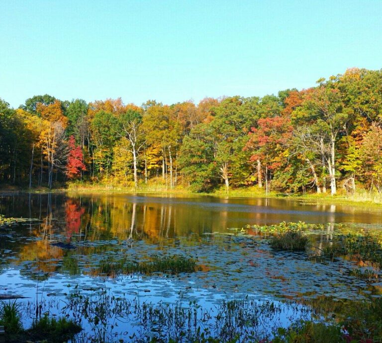 15+ Best Places To Visit In Indiana This Summer