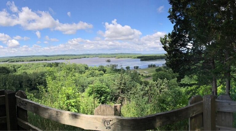 15+ Best Places to Visit in Illinois This Summer