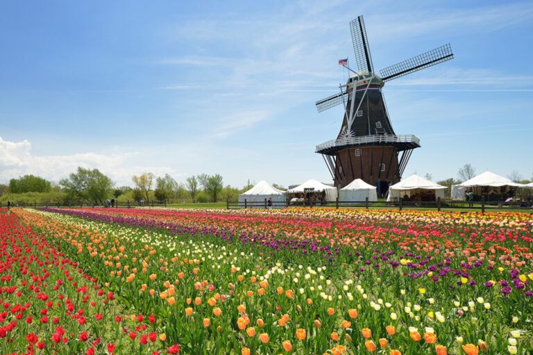 15+ Best Places To Visit In Michigan This Summer