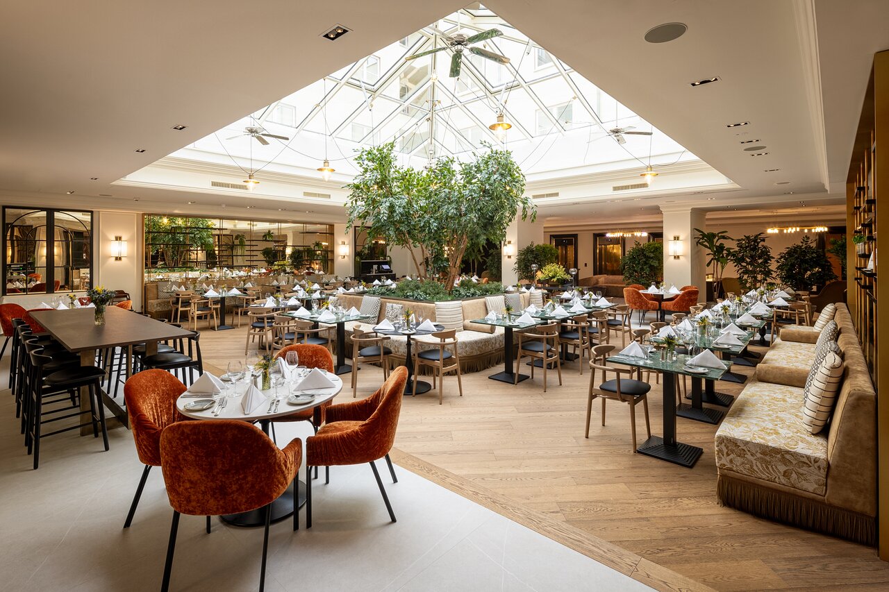 15+ Best Restaurants To Visit In Heidelberg, Germany – A Food Lover’s ...