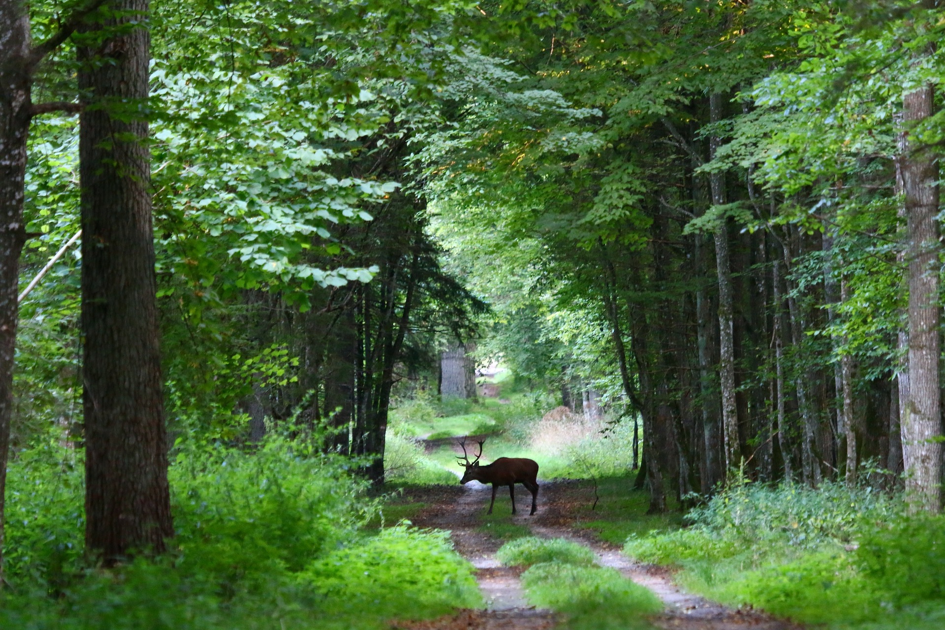 15+ Best Places To Visit In Poland This Summer