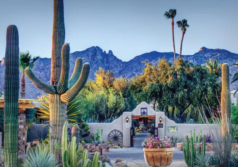 12 Best Hotels To Stay In Tucson, Arizona