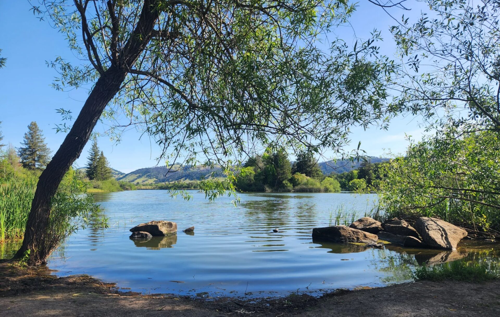 12 Best Things To Do In Santa Rosa, California - Your Ultimate NorCal ...